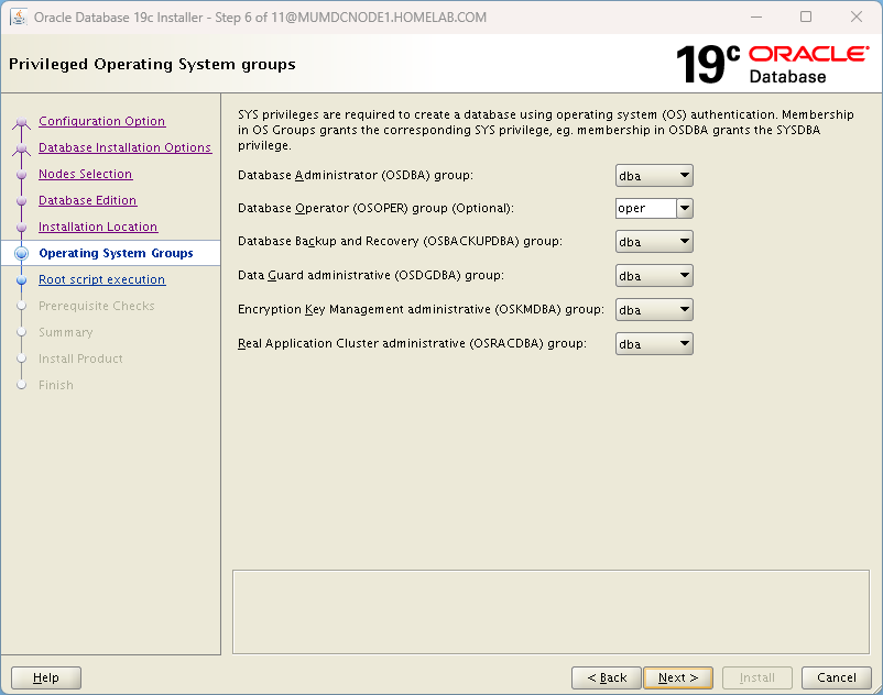 Oracle 19c Database Creation on RHEL 8.10 - LabMice Documentation